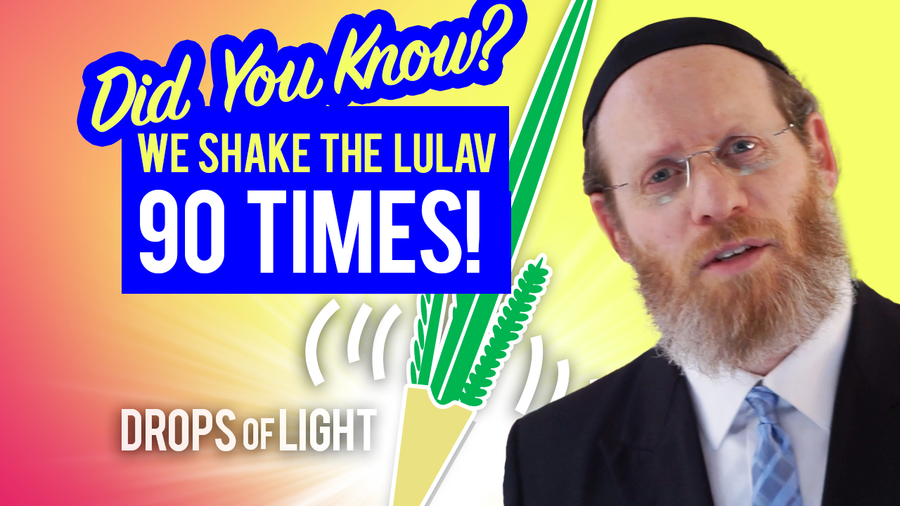 Did You Know We Shake The Lulav 90 Times!