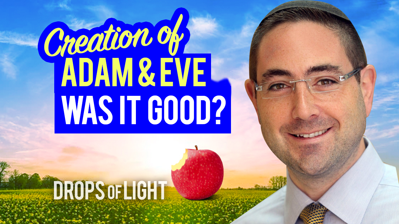 Was Creating Man Good?