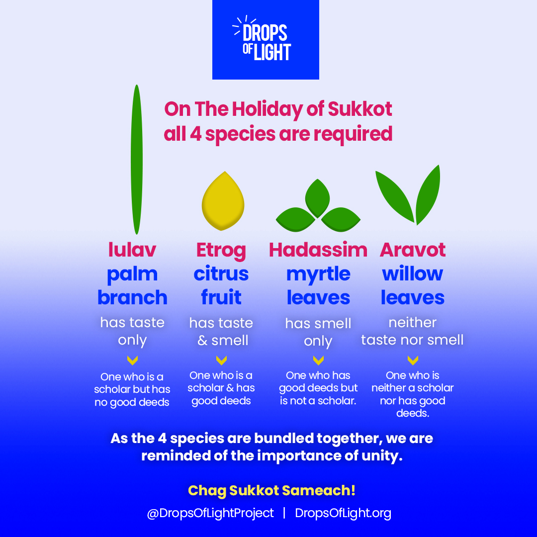 On Sukkot all 4 Species are Required