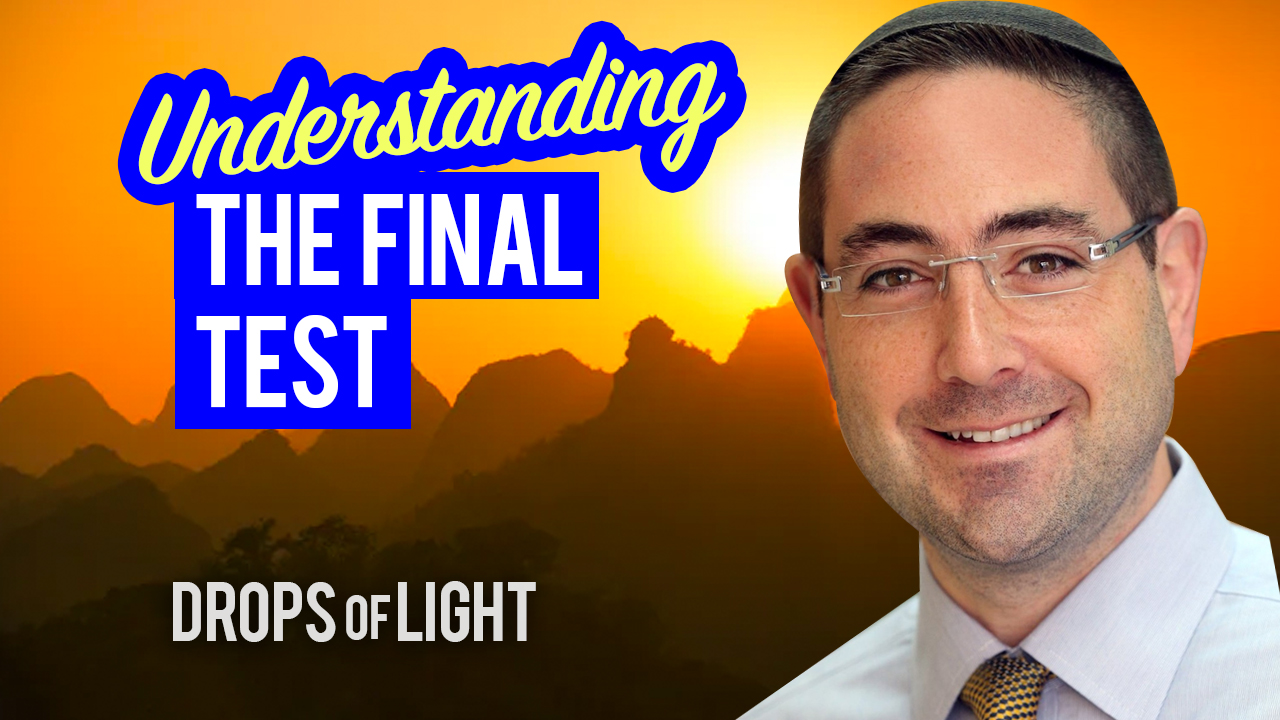 Understanding The Final Test